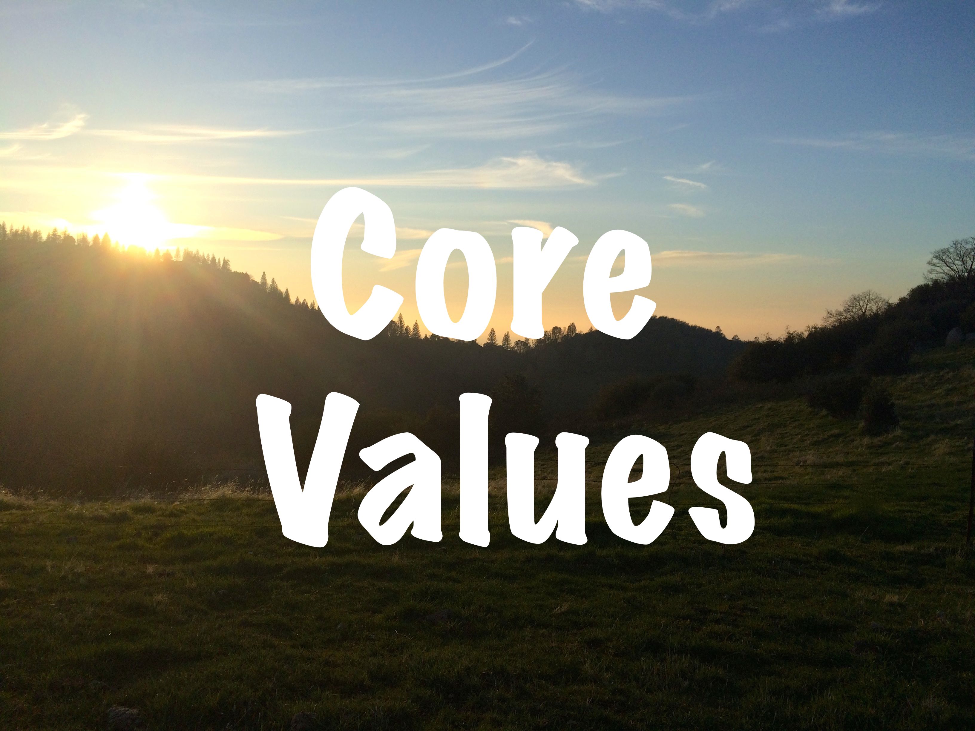 Core Values – Crushing the Lion